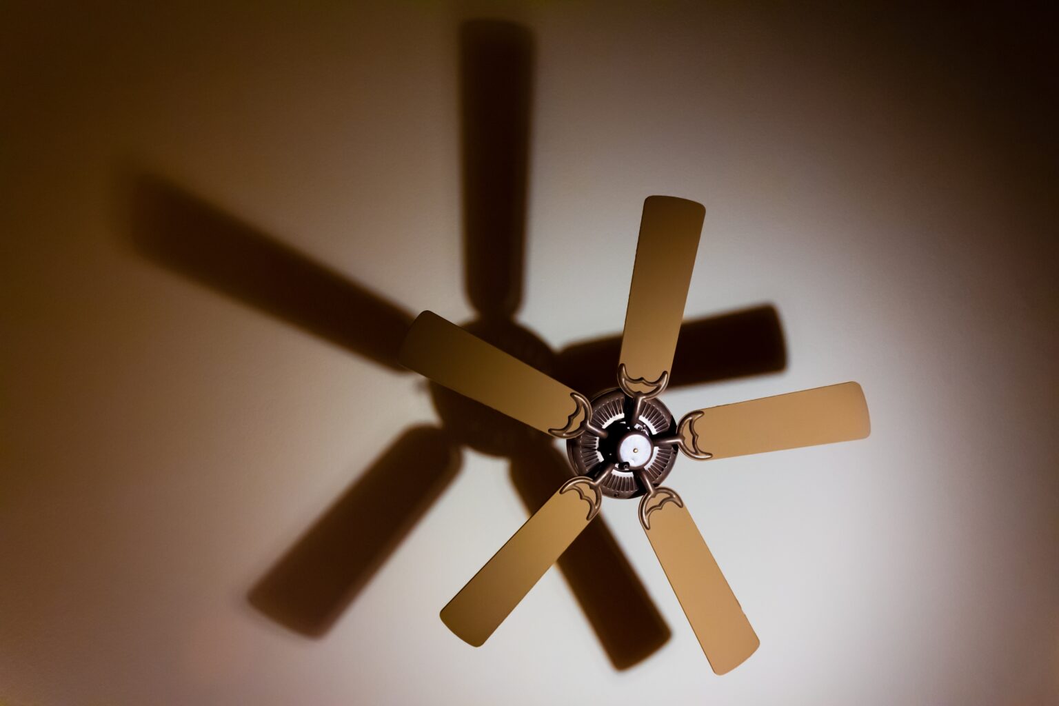 Beat the Heat: A Comprehensive Guide to the Best Ceiling Fan Brands in ...